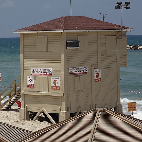 צבע אטום לעץ פלאד Flood Solid Color