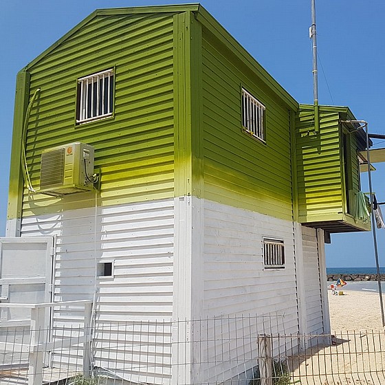 צבע אטום לעץ פלאד Flood Solid Color