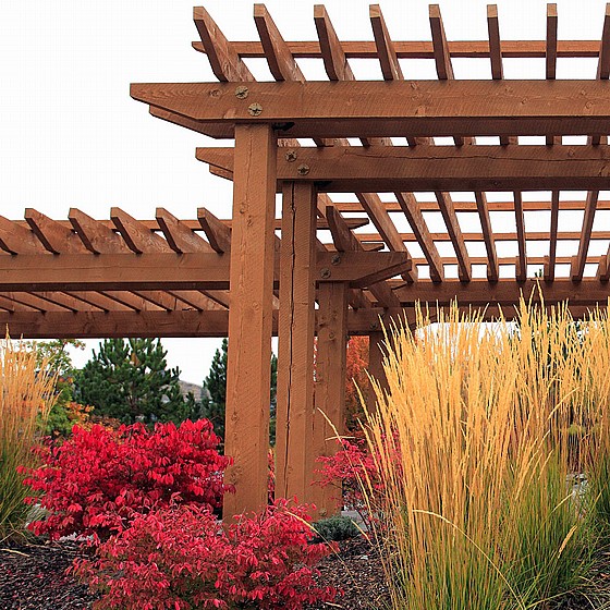 צבע לעץ חצי שקוף על בסיס מים בשכבה אחת טורקיז NT4007 פלאד Flood Semi ...