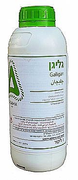 גליגן EC-24 תמ 1ל' ADAMA GALIGAN