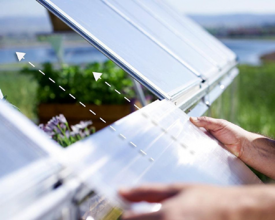 חממה ביתית 3X6 מטר Canopia Balance 707012