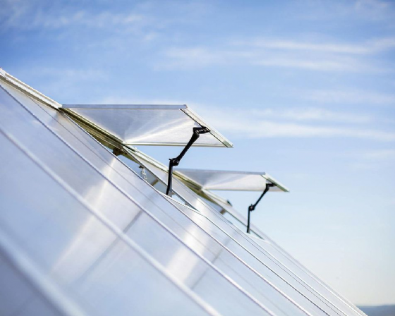 חממה ביתית 3X6 מטר Canopia Balance 707012