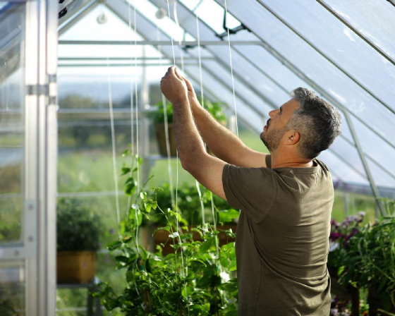 חממה 3X8.5 מטר Canopia Balance 707015