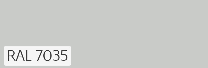 ספריי צבע ראל מקצועי Pintyplus Evolution RAL Acrylic